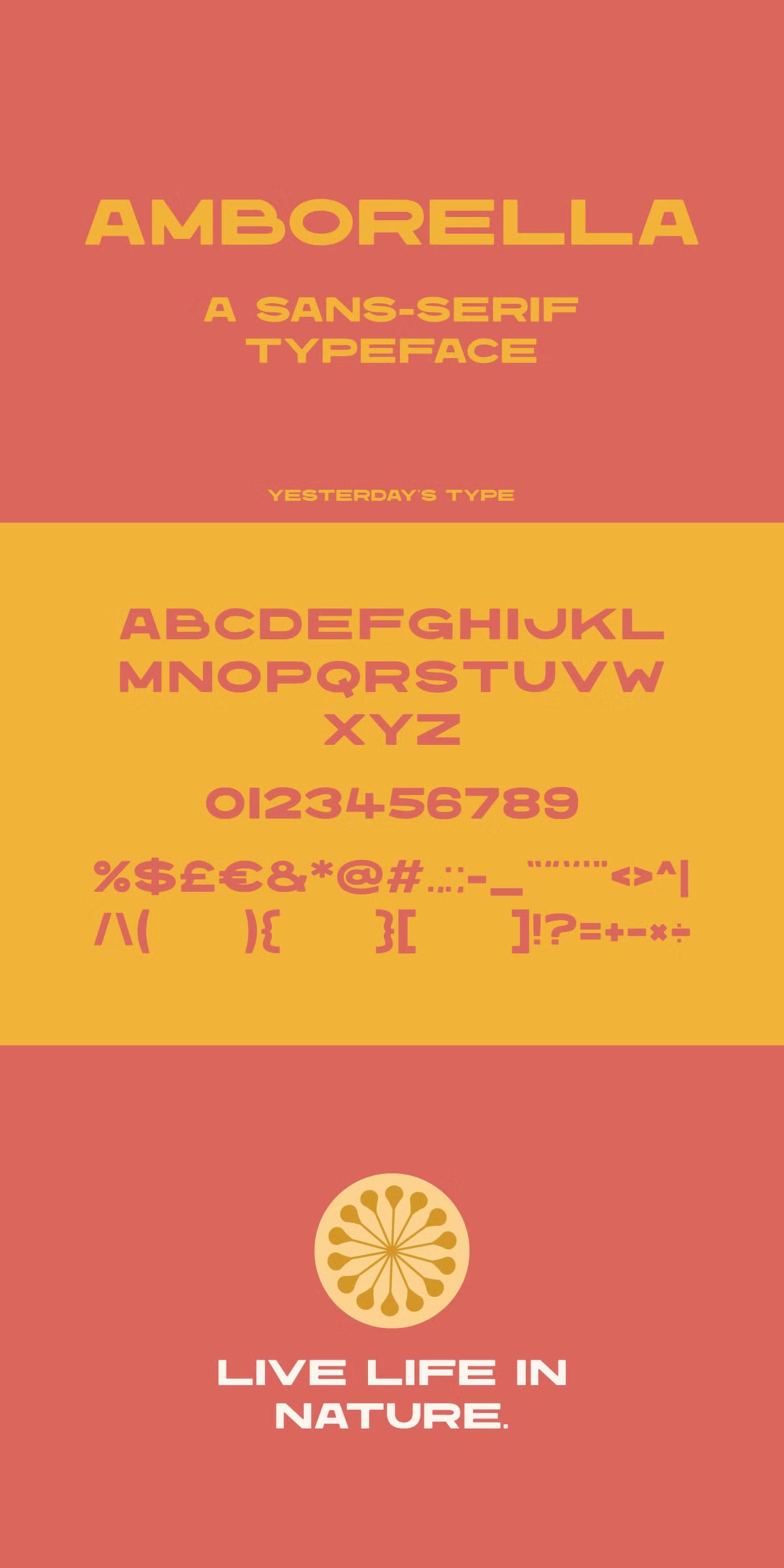 Amborella | Wide Display Typeface - Typesite