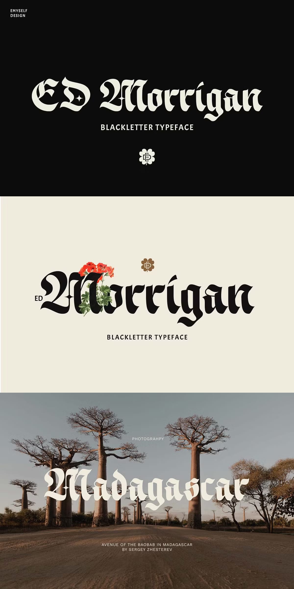 ED Morrigan Typeface - Typesite