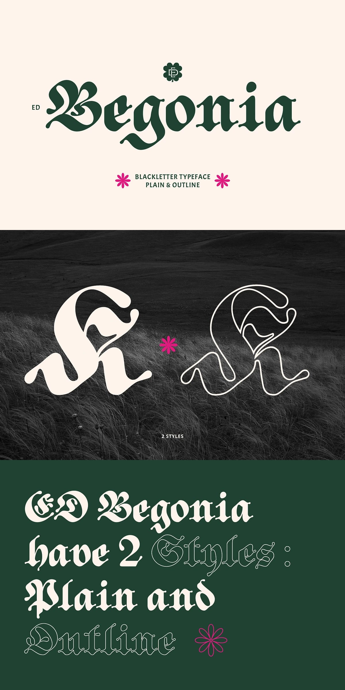 ED Begonia - Blackletter Typeface - Typesite